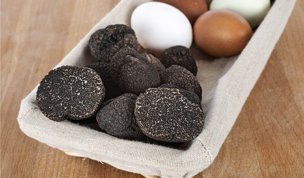 Fun Fresh Truffle Storage Tricks- Sabatino Tartufi