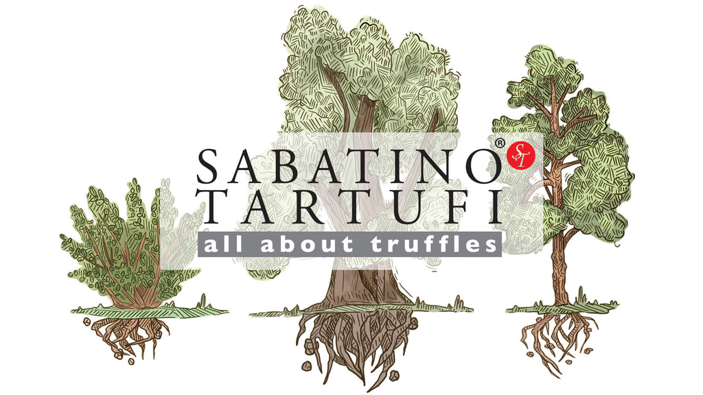 Truffle Maps – Sabatino