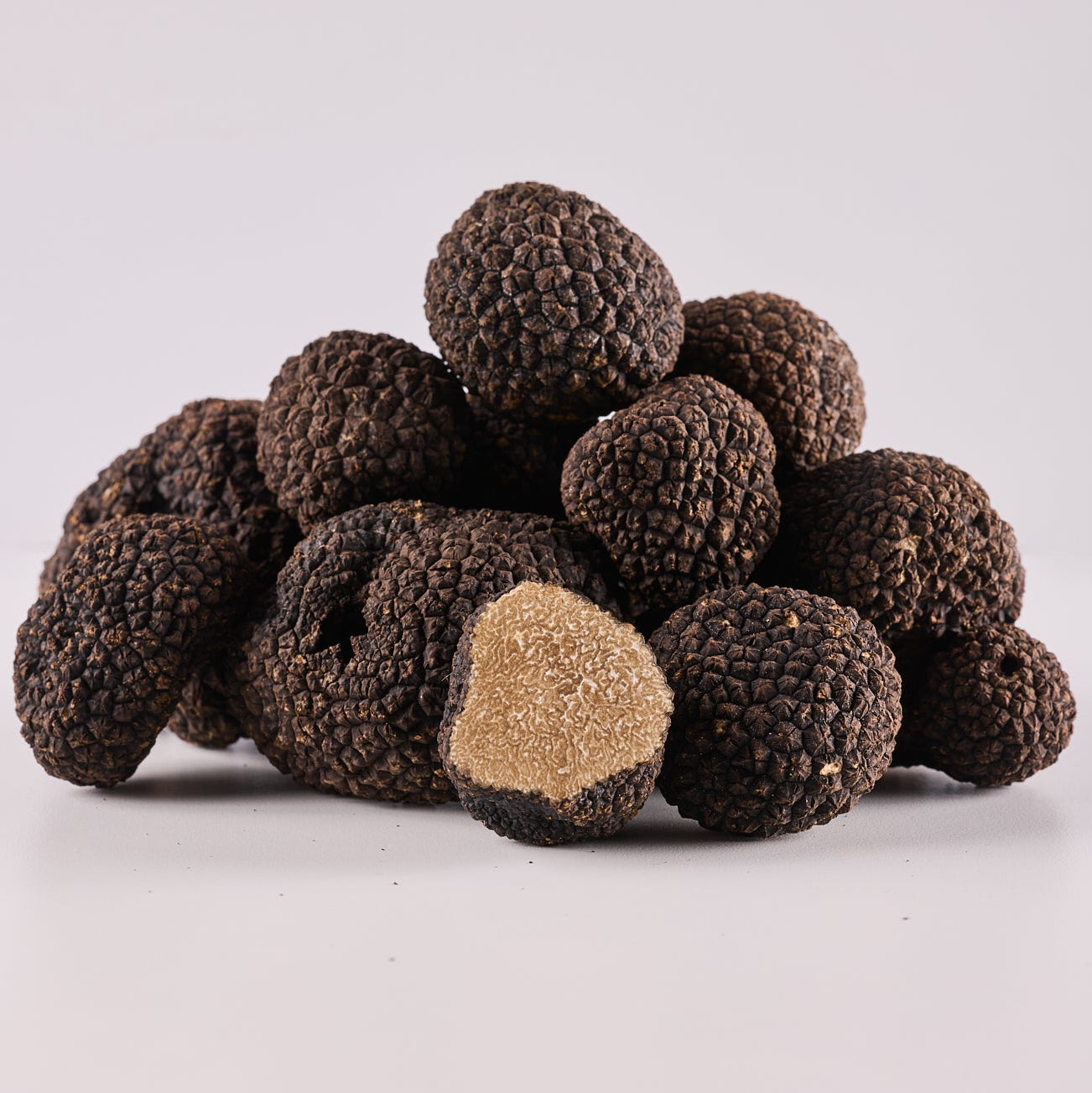 Fresh Black Burgundy Truffles - 16oz | Sabatino Truffles