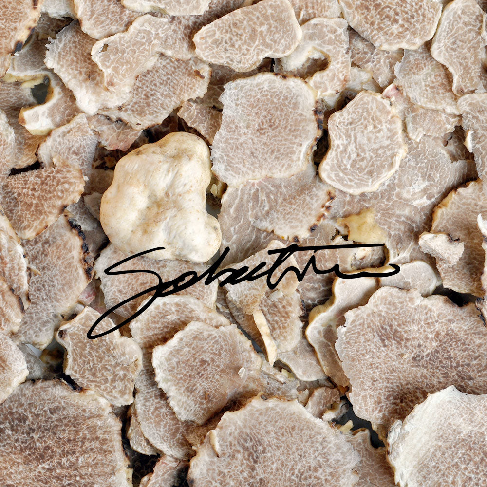 Fresh White Truffles | Sabatino Truffles
