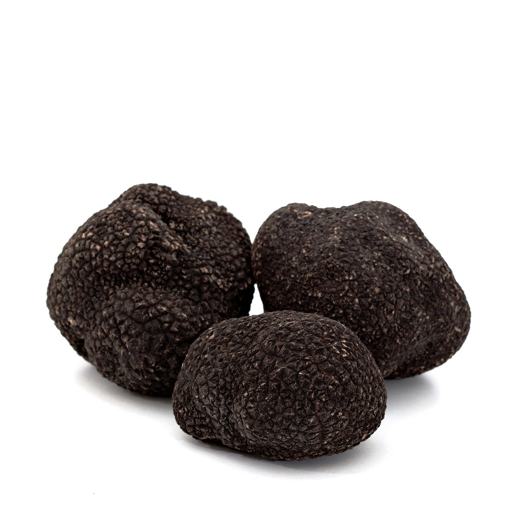 Fresh Black Winter Truffles 4 oz | Sabatino Truffles