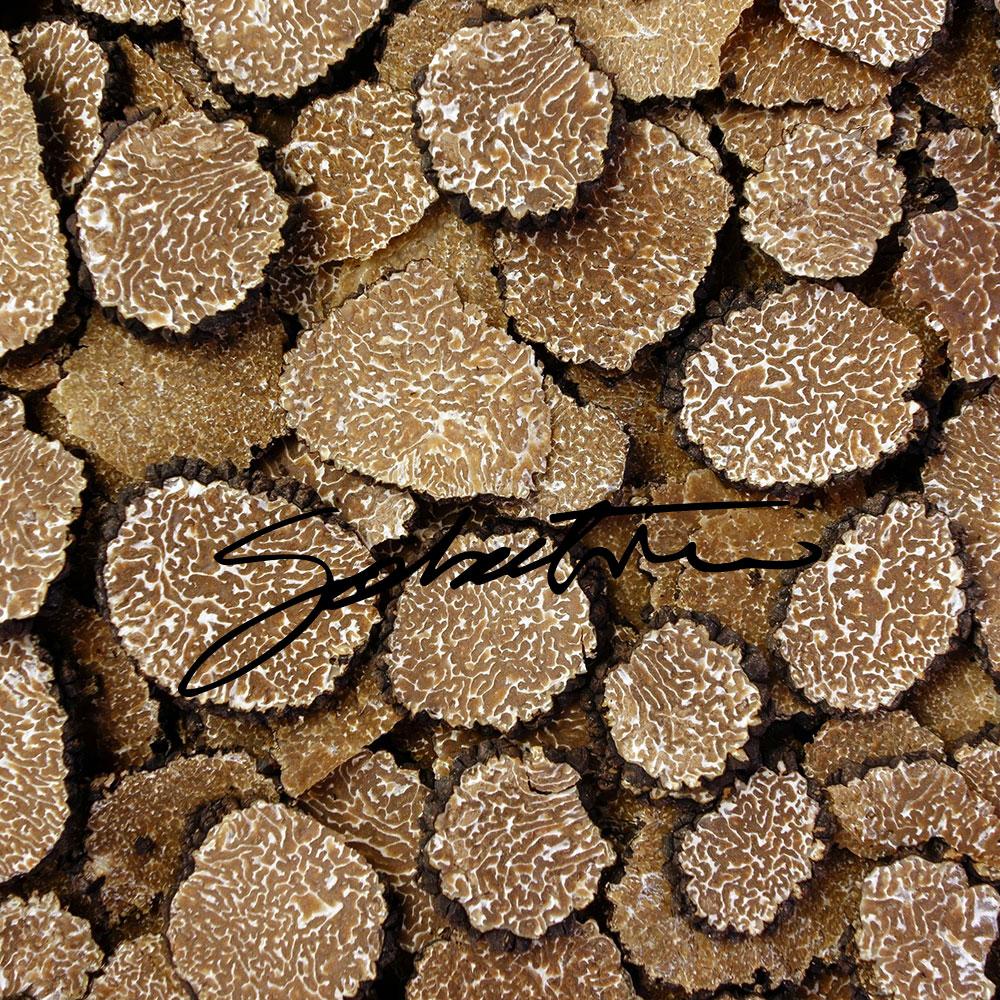 Fresh Black Burgundy Truffles - 1oz | Sabatino Truffles