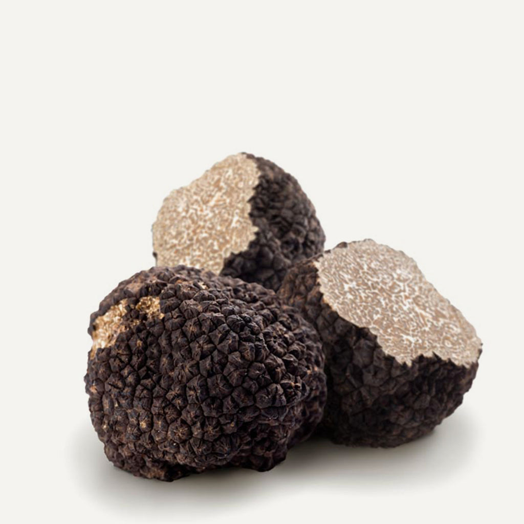 Fresh Black Summer Truffles - 2 oz | Sabatino Truffles
