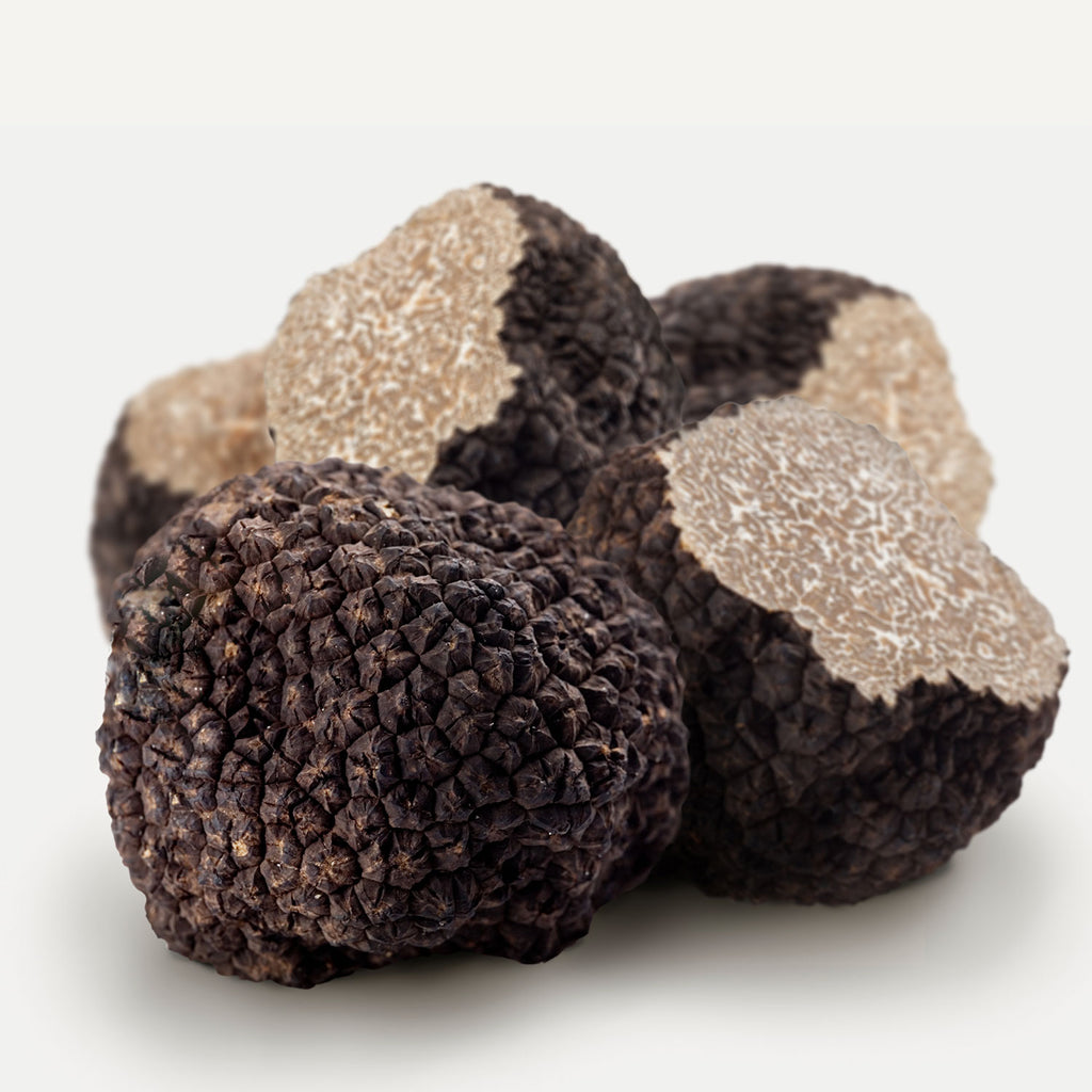 Fresh Black Summer Truffles 4 oz | Sabatino Truffles
