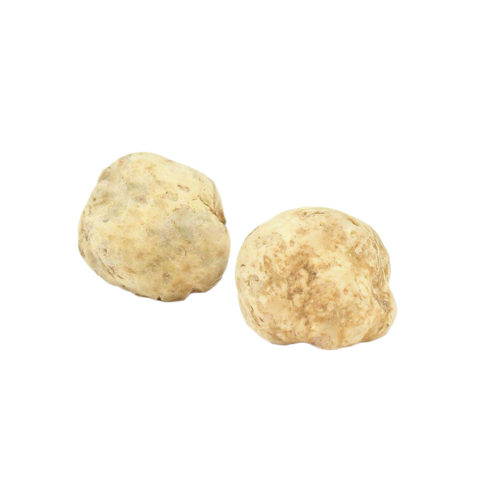 Fresh White Truffles 1 oz | Sabatino Truffles