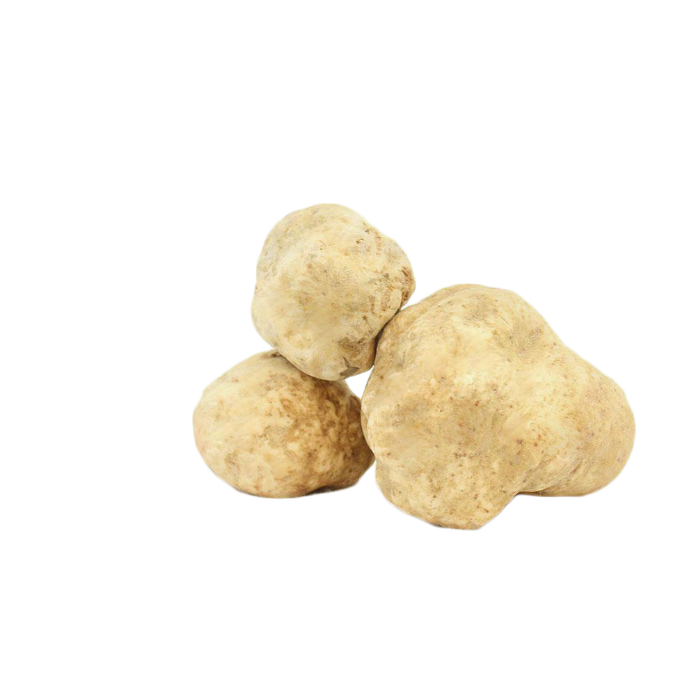 Fresh White Truffles - 3 oz | Sabatino Truffles