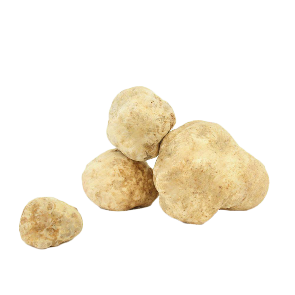 Fresh White Truffles - 4 oz | Sabatino Truffles