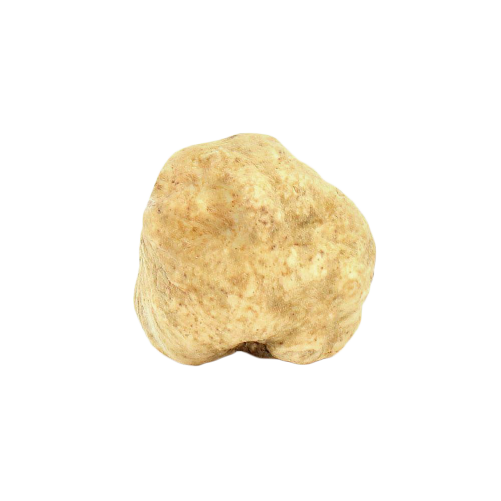 Fresh White Truffles - 1/2 oz | Sabatino Truffles